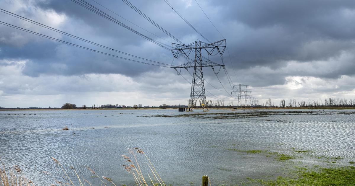 Uit Net NL#35: Net niet nat | Netbeheer Nederland