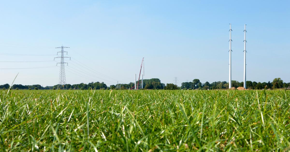 Europese Rekenkamer: ‘Krachtige inspanningen nodig om het elektriciteitsnet te verbeteren ...